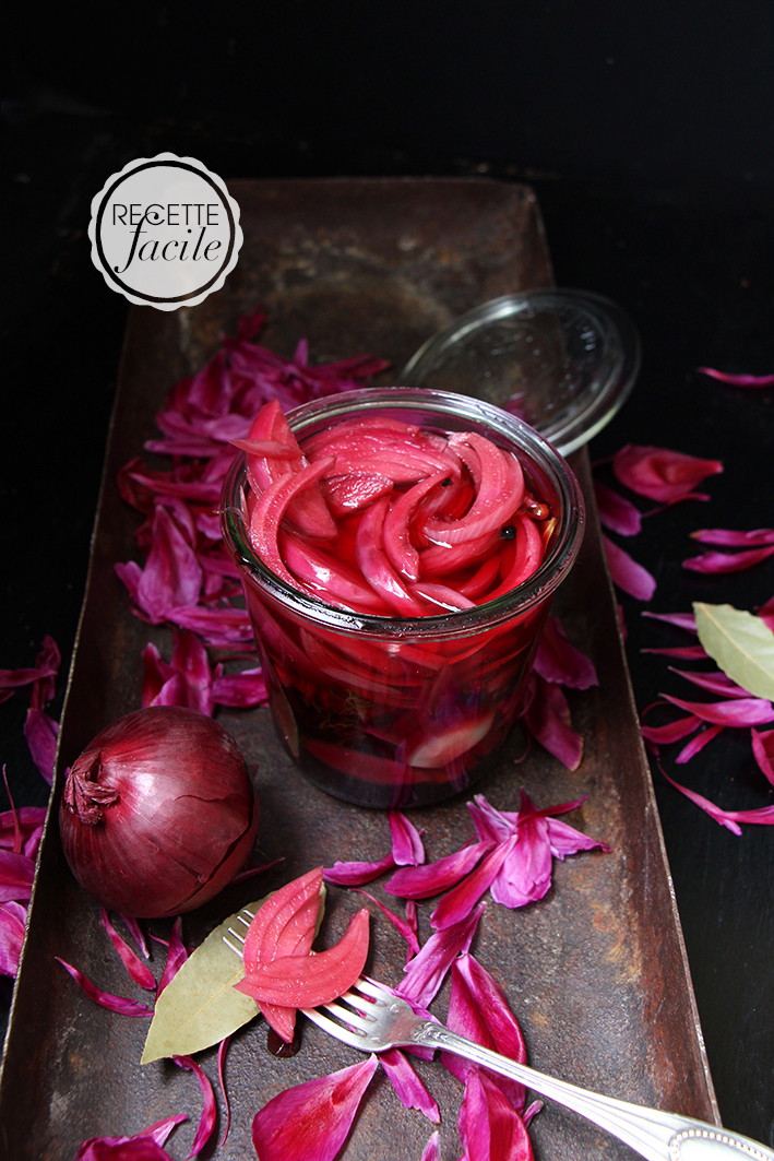 Pickles d’oignons rouges – Devorezmoi