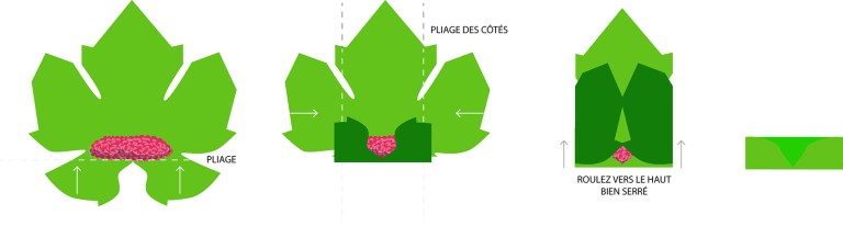 Feuilles de vigne farcies ou Yabraq – Devorezmoi